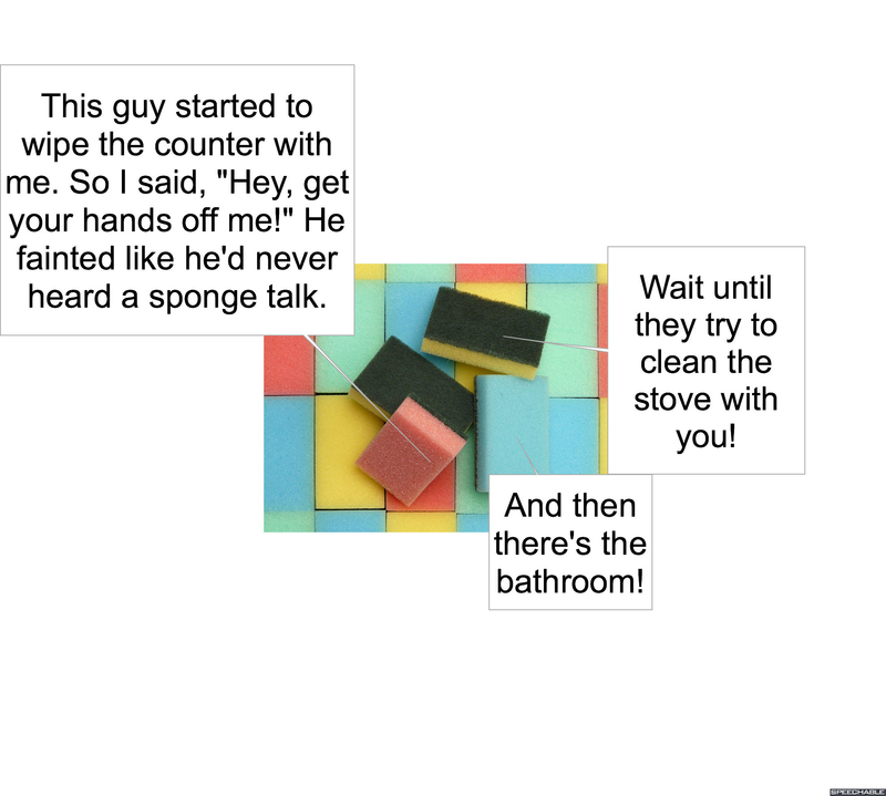 SPONGE AWARENESS DAY! – THE DAILY ATHOLIAN: